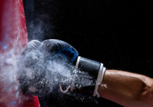 Boxteam Vienna, Herrenboxen & Damenboxen